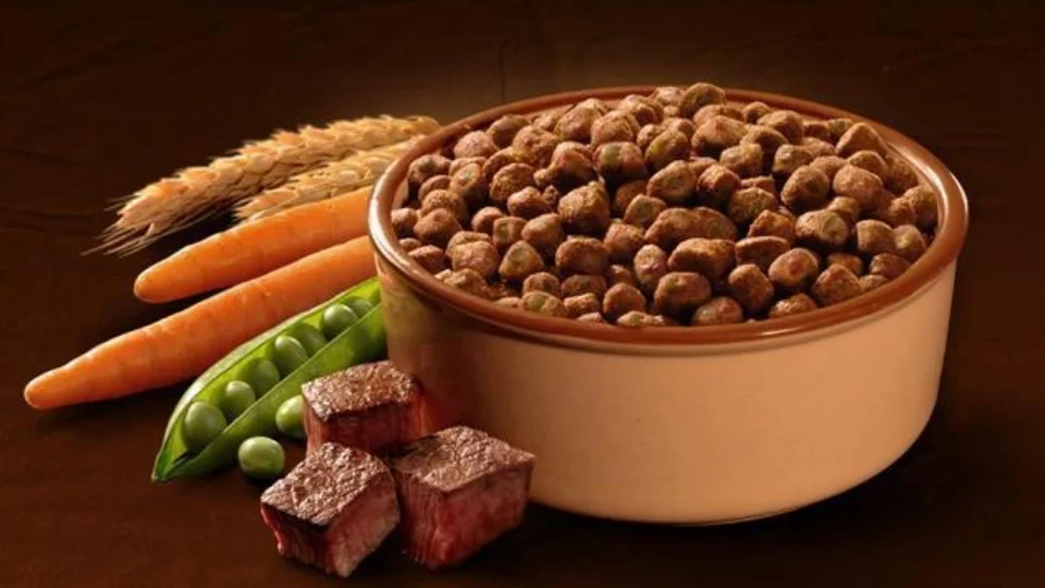 Reasons For The Popularity Of Pet Food Production Line | Dayi Food Solution