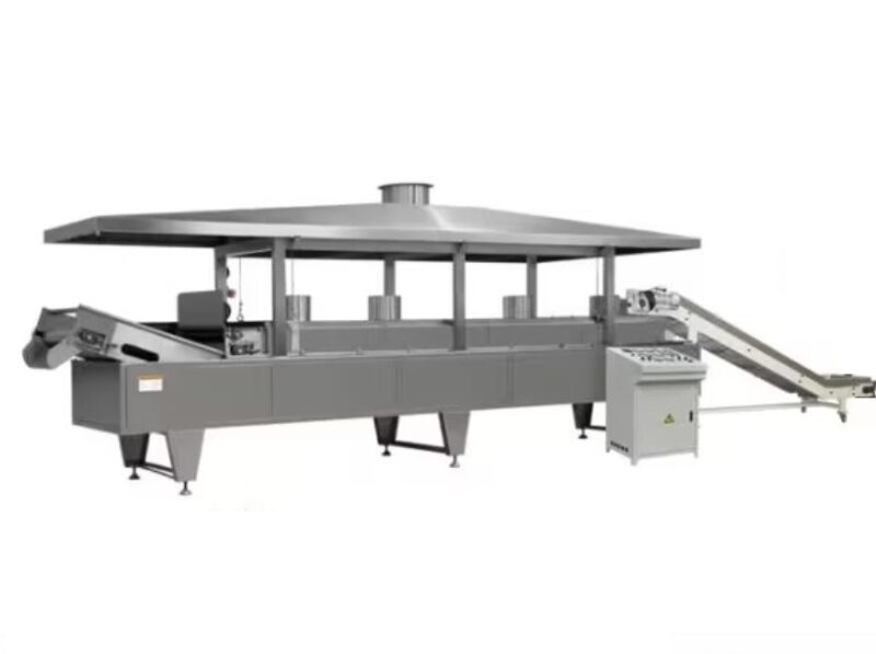 Conveyor belt continuous food fryer | Dayi Food Solution
