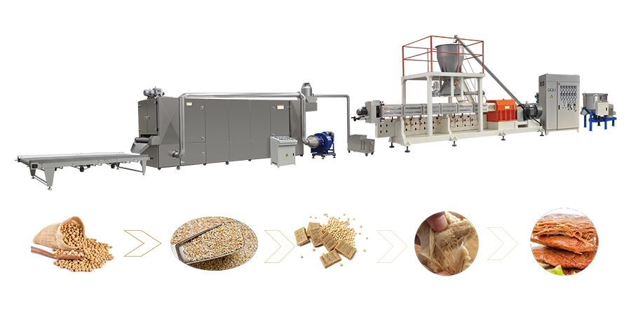 식물성 단백질과 식품 가공의 영양적 가치