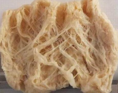 Differences among various textured vegetable proteins | Dayi Food Solution