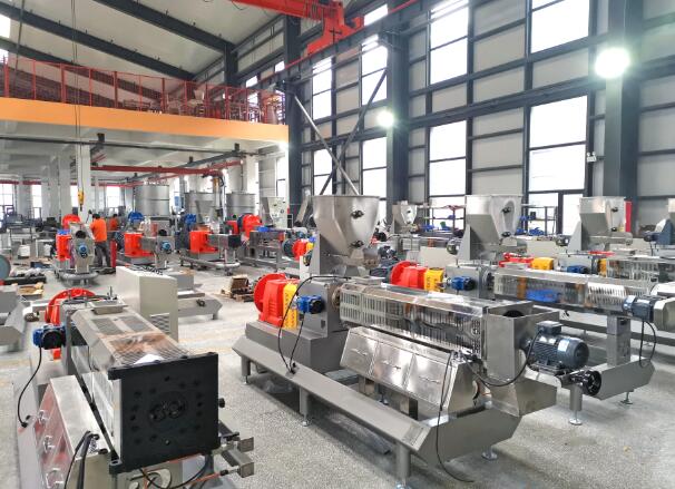 Twin Screw Food Processing Extruder | Dayi Food Solution